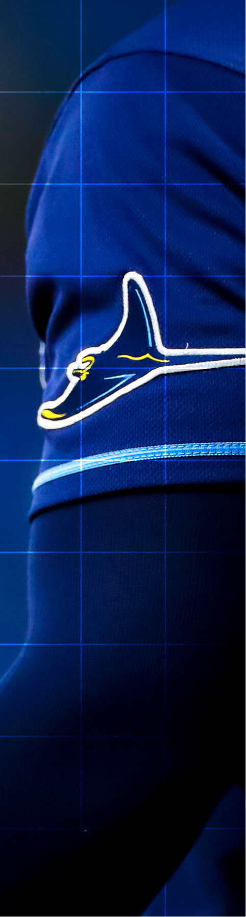 Rays New Sales portal